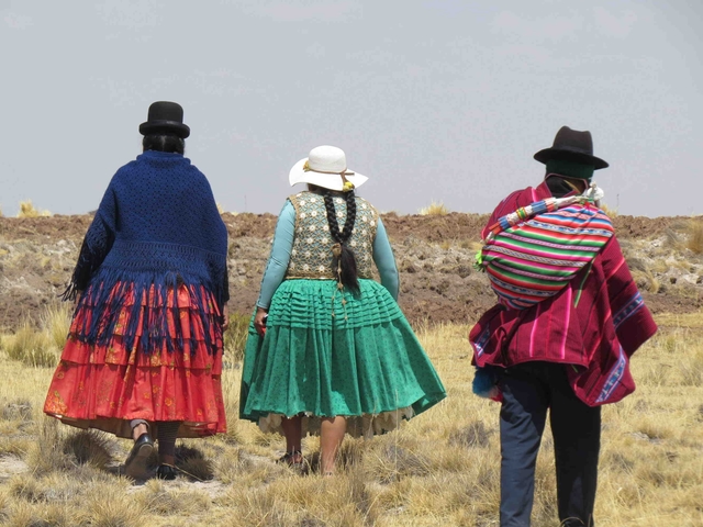 Resilient native potatoes: Safeguarding food security