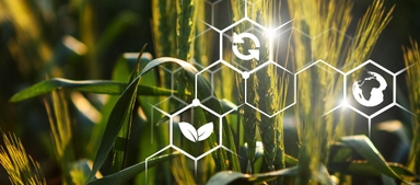 Fontagro - Convocatorias